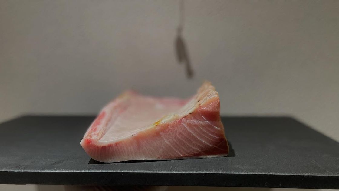 Urokomachi Shiro - Restaurant Guide - TableCheck