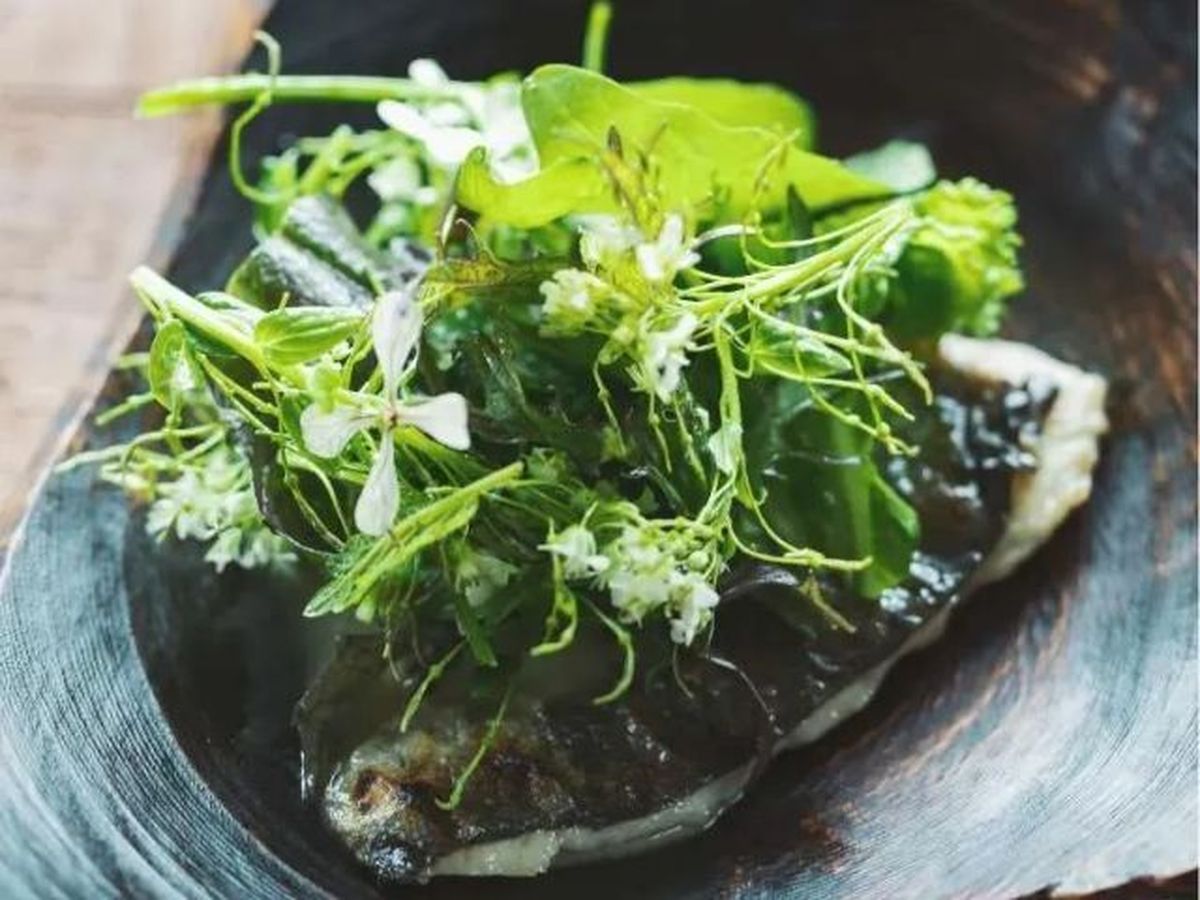 song - Restaurant Guide - TableCheck