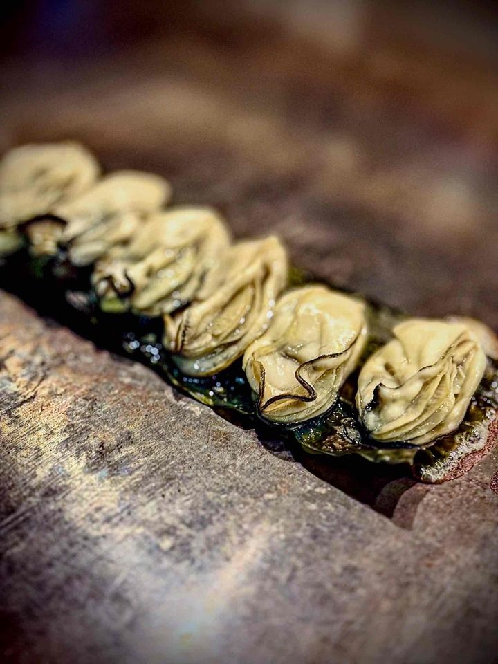 Okonomi Teppan Ishikawa - Guida ai Ristoranti - TableCheck